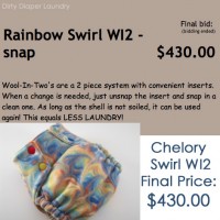 The Most Expensive Cloth Diapers in the World! – Dirty Diaper Laundry