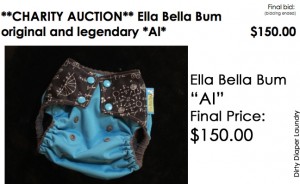 The Most Expensive Cloth Diapers in the World! – Dirty Diaper Laundry