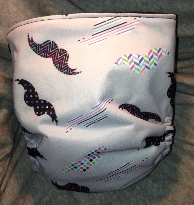 Winning Colors Baby All in One Diaper Review – Dirty Diaper Laundry